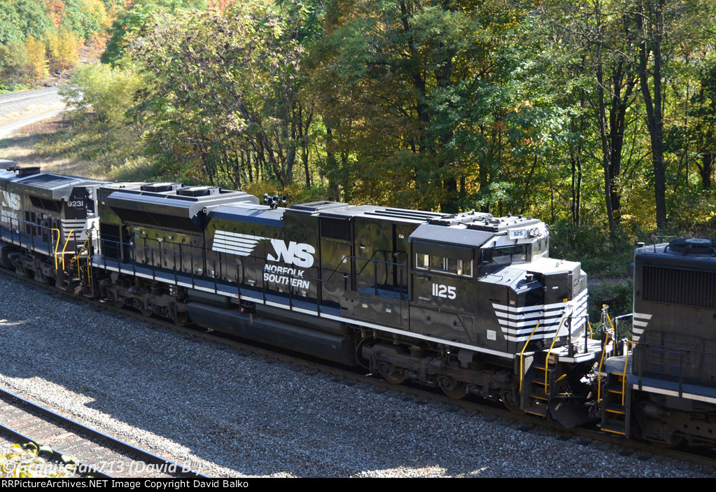 NS 1125